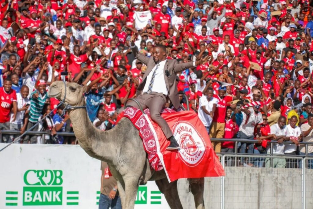 Simba Day: A festival celebrating 89 years of the Simba legacy – The ...
